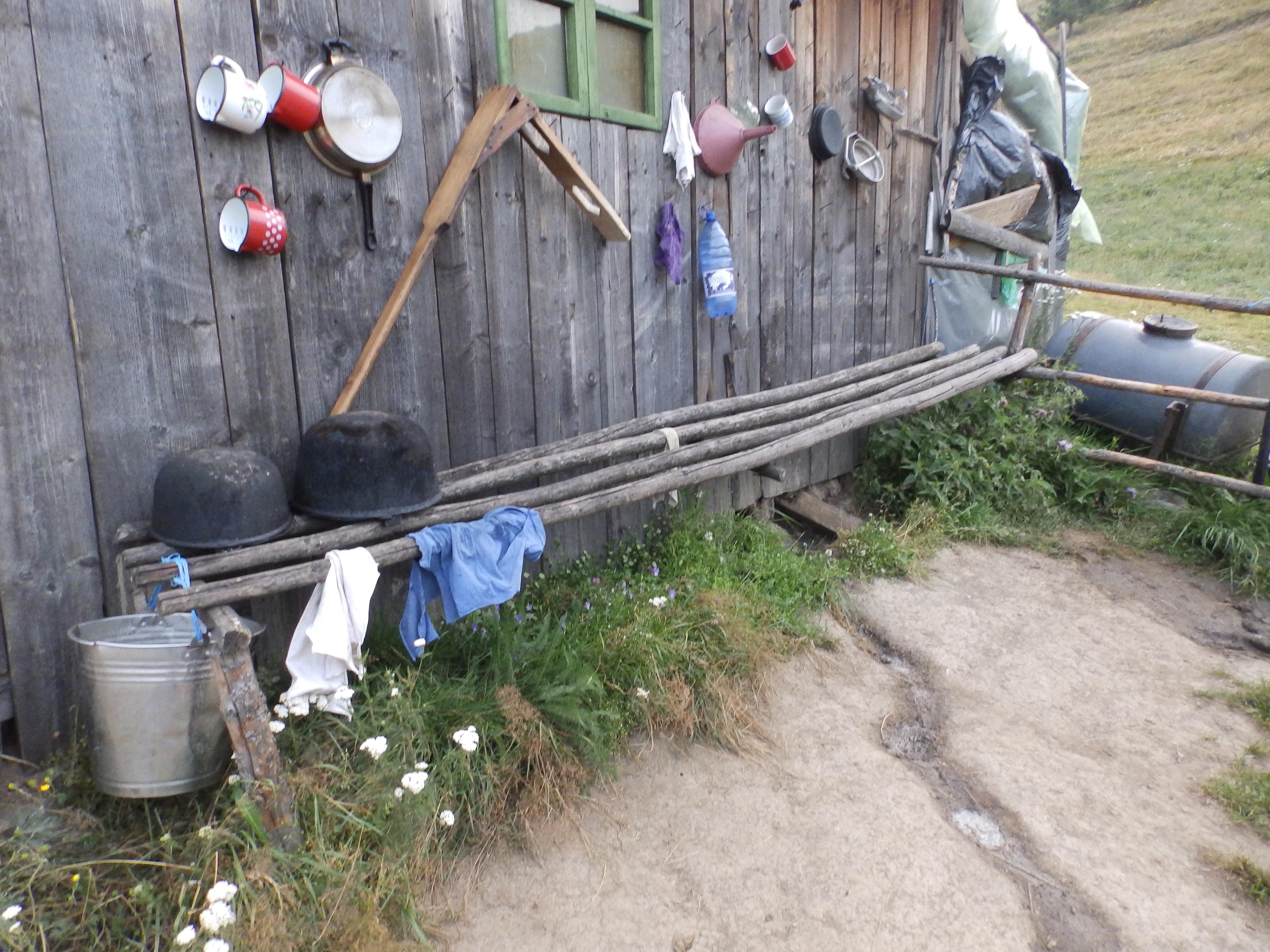 Bardócz-Tódor Enikő – SKANZENBLOG